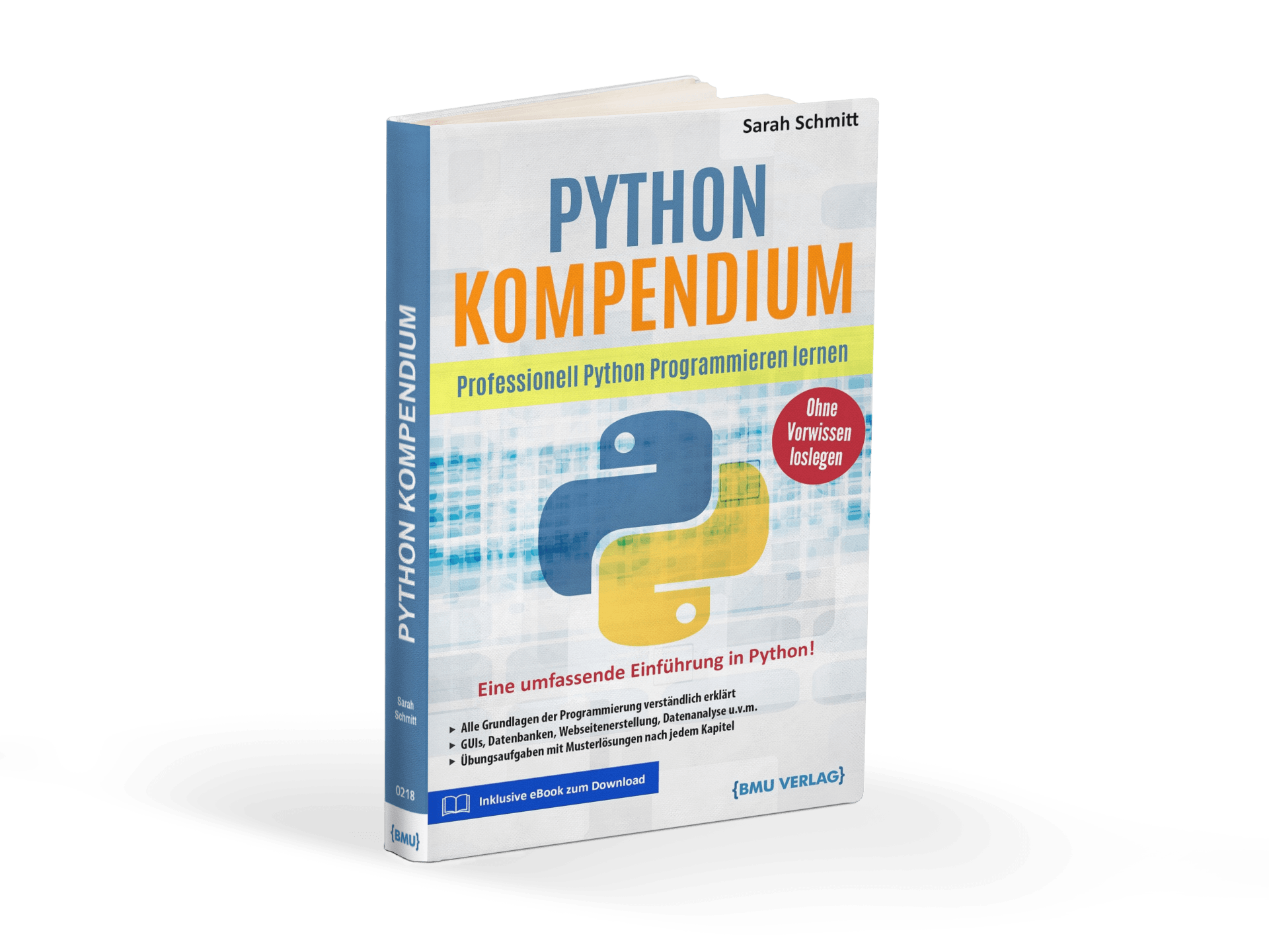 Python Compendium: Learn Programming Python Professional